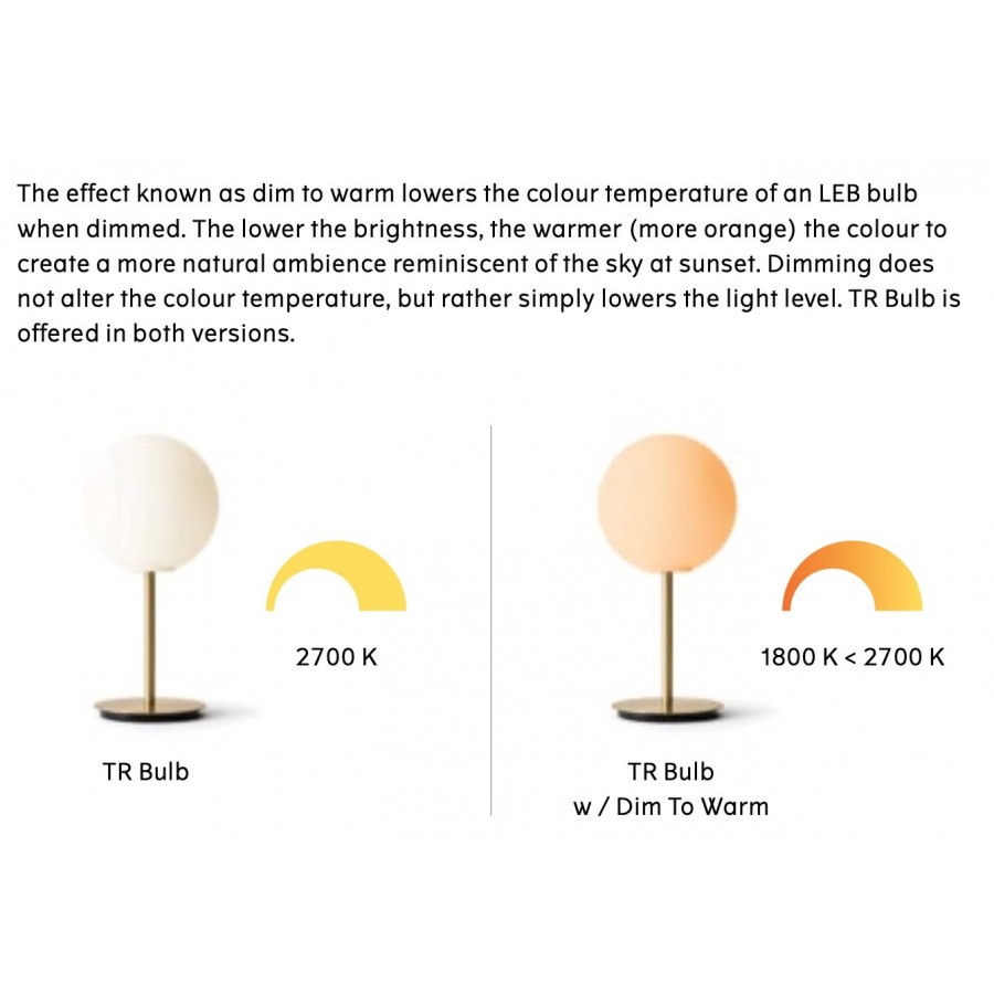 Audo TR Bulb Suspension Frame Pendant Lamp