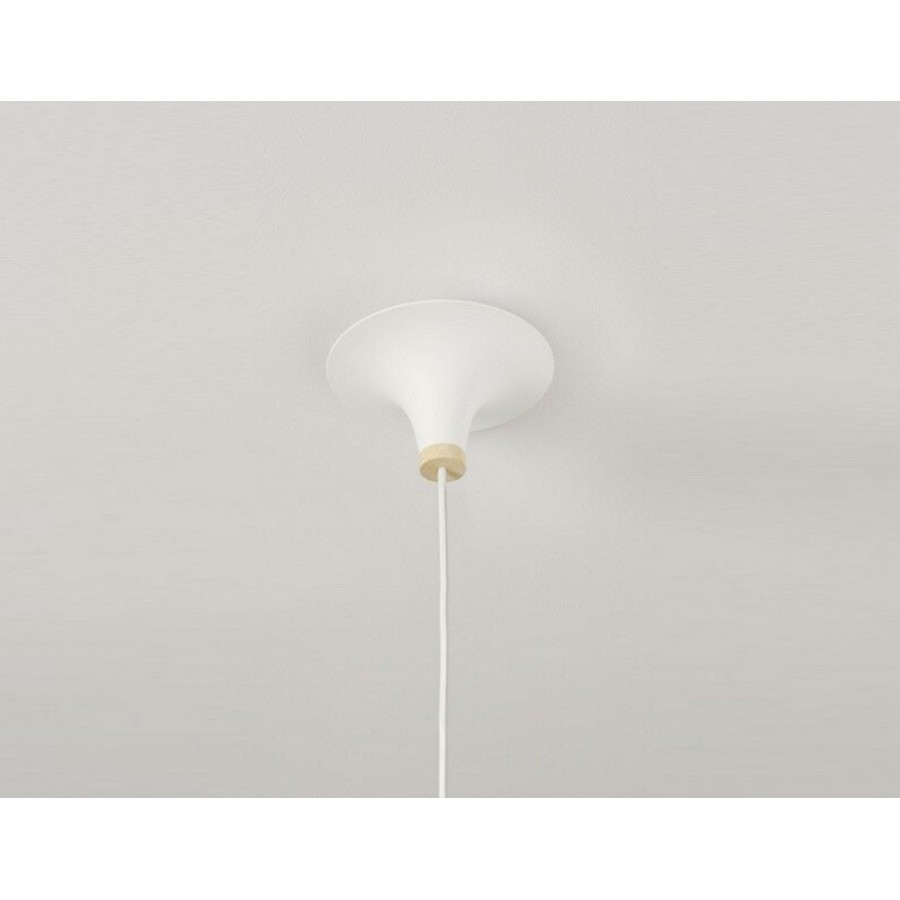Northern Acorn Pendant Lamp